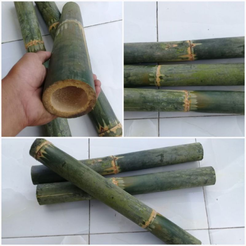Jual Bambu bulat besar bahan turus tanaman | Shopee Indonesia