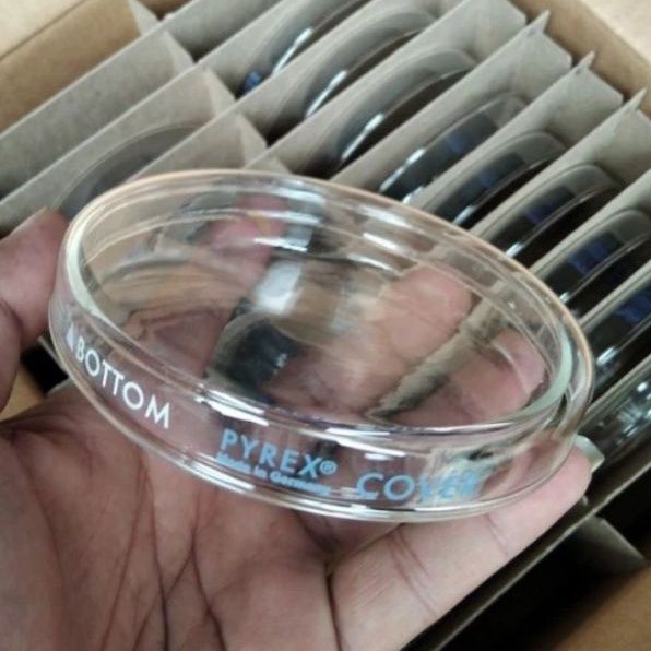 Jual Cawan Petri 100x15 PYREX | Shopee Indonesia