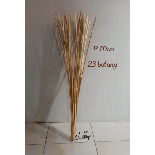 Jual Sebat Rotan Terapi Kesehatan | Shopee Indonesia