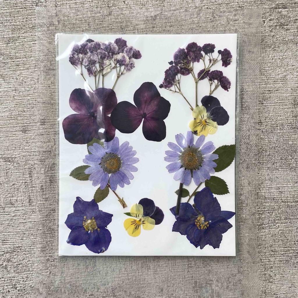 Jual Pressed Flower Bunga Kering Untuk Bahan Kerajinan Resin Pf2