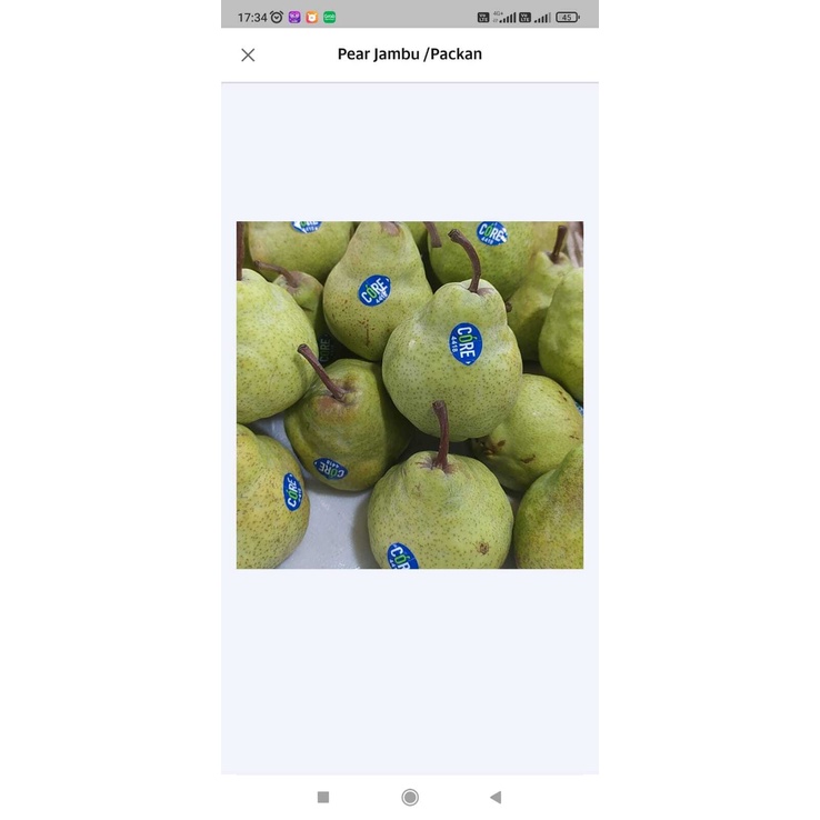 Jual Buah Pear Packham/ Pir Jambu Hijau manis 1kg Impor | Shopee Indonesia
