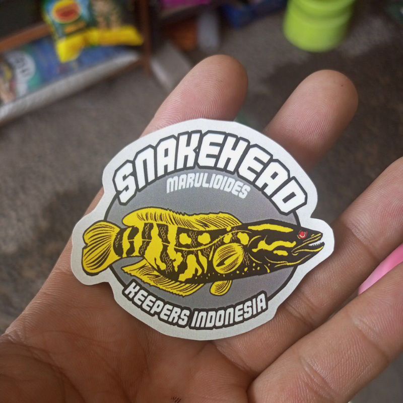 Jual Stiker ikan Channa/stiker Chana Ys/stiker Chana pulcra/stiker ...