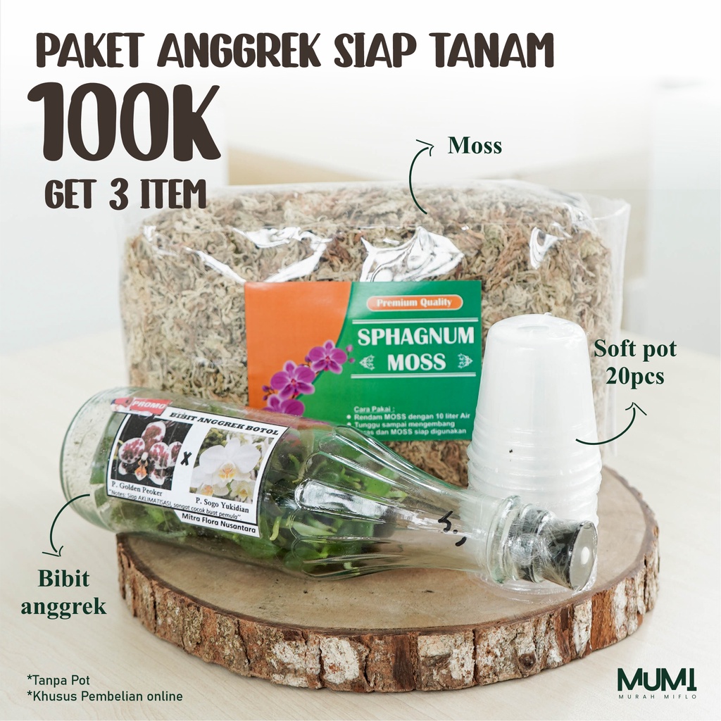 Jual Paket Anggrek Botol (Khusus Pulau Jawa) | Shopee Indonesia