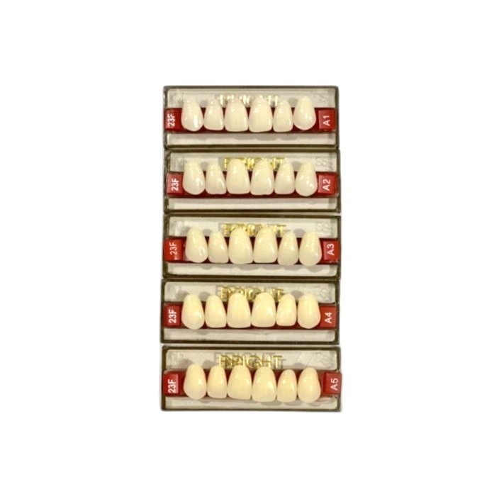 Jual Gigi Depan Bright/Brighdent type Asia ECERAN (Atas - Bawah) (A1 ...