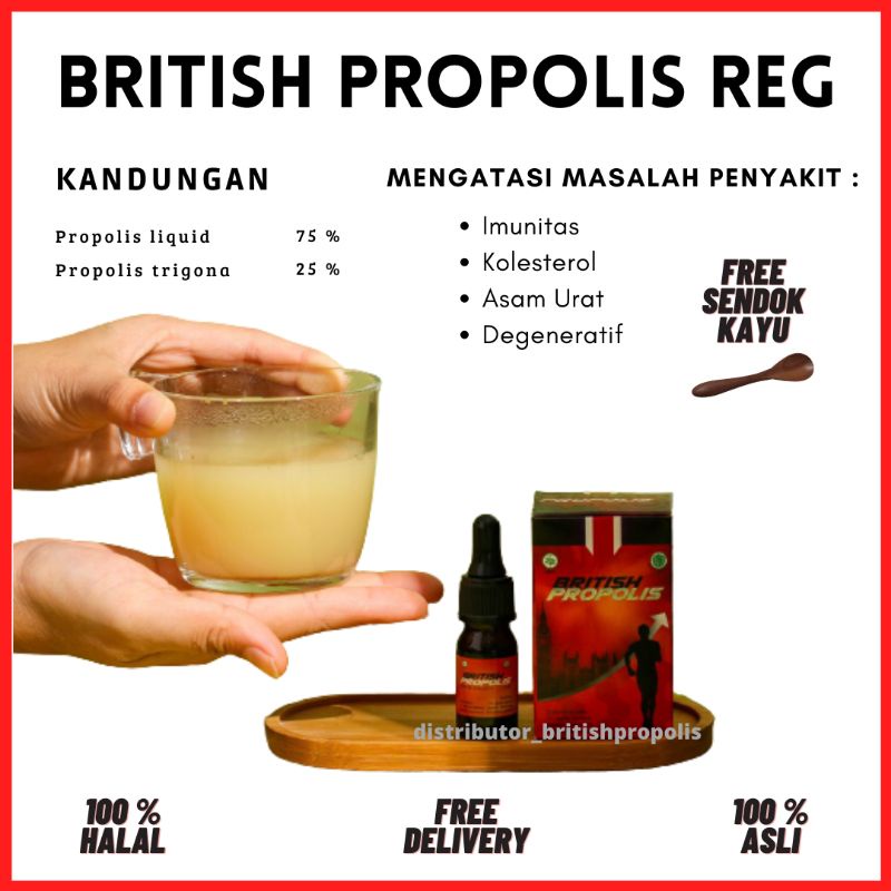 Jual SUPLEMEN BRITISH PROPOLIS ASLI BOTOL 6ML | Shopee Indonesia