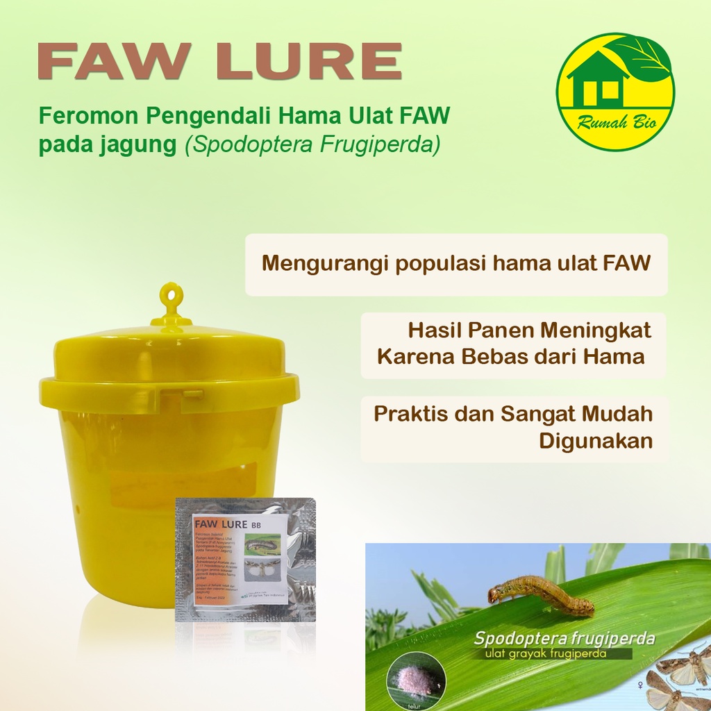 Jual Perangkap pengendali hama ulat pemakan jagung faw lure | Shopee ...