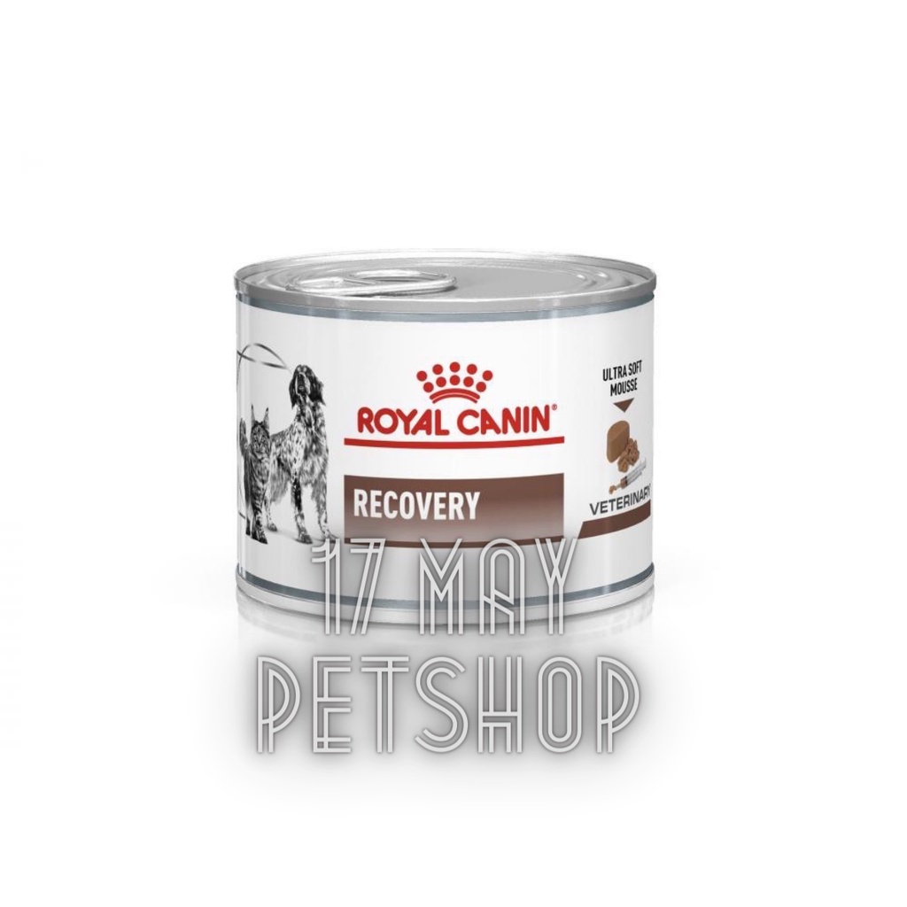 Jual ROYAL CANIN Recovery for Cat & Dog Wet Kaleng 195gr | Shopee Indonesia