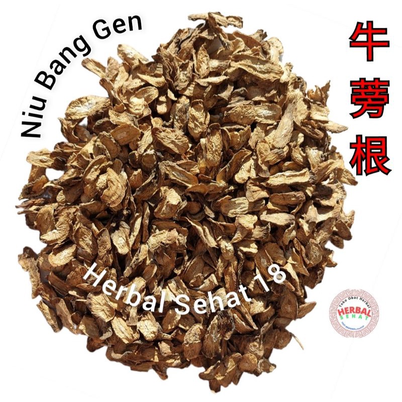 Jual Niu Bang Gen 250-500-600-1000 Gram 牛蒡根 NIU BANG GEN Burdock Root ...
