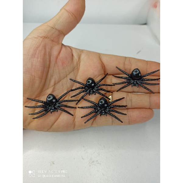Jual mainan laba laba hitam isi 4 | Shopee Indonesia