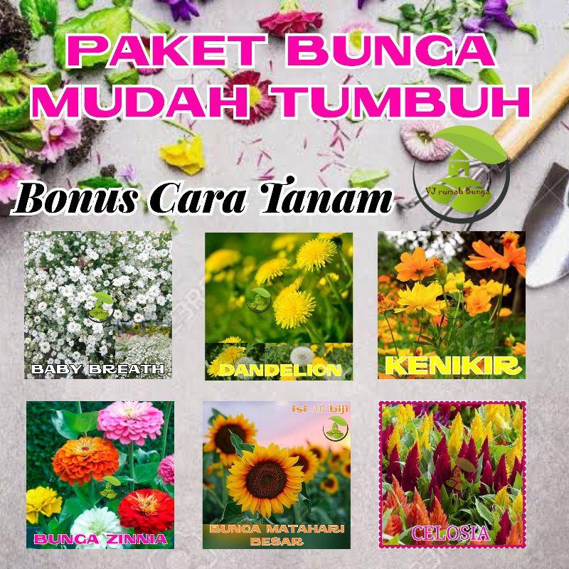 Jual Paket 6 Jenis Benih Bunga Mudah Tumbuh | Shopee Indonesia