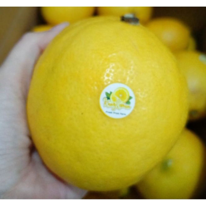 Jual BUAH JERUK LEMON CALIFORNIA PER 1 KG ISI 4-6 BUAH | Shopee Indonesia
