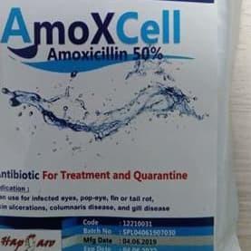 Jual AmoXCell (Antibiotik dan Karantina Ikan) | Shopee Indonesia