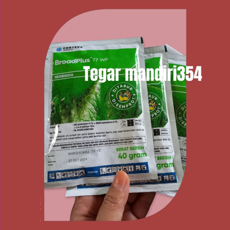 Jual Herbisida padi broad plus 40gram herbisida ally plus Racun gulma ...