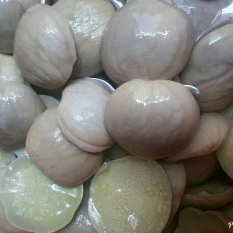 Jual jengkol rebus tua jengkol rendang 1kg | Shopee Indonesia