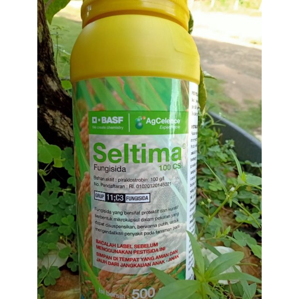 Jual Seltima fungisida padi 100CS 500ML | Shopee Indonesia