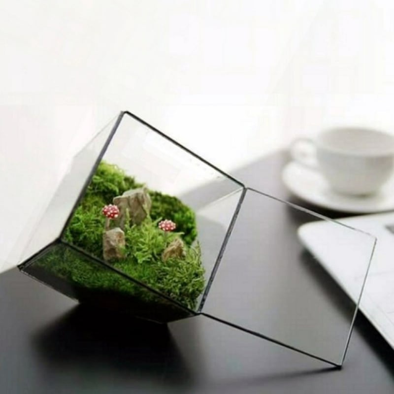 Jual 13cm x 13cm Terrarium Glass Cube | Wadah Only | Terrarium Jakarta ...