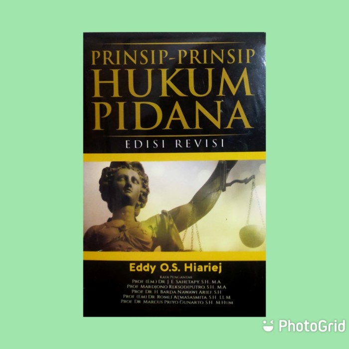 Jual Buku Pidana Buku Prinsip-Prinsip Hukum Pidana By Eddy | Shopee Indonesia