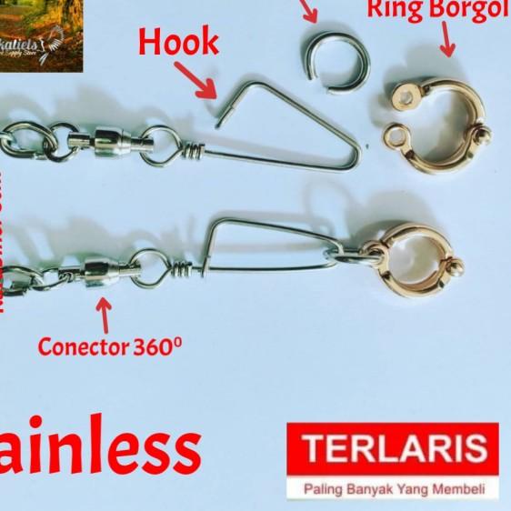 Jual Rantai Ring Borgol Burung Nuri Paltem Kepala Hitam Papua Black ...