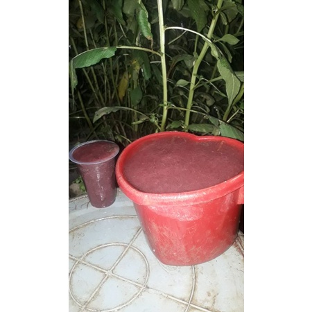 Jual Cacing sutra/Cacing sutera/Cacing cupang | Shopee Indonesia