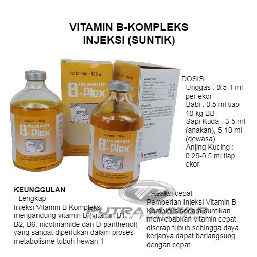 Jual Vitamin B-Kompleks Injeksi 100 Ml Obat Suntik Penambah Sistem ...