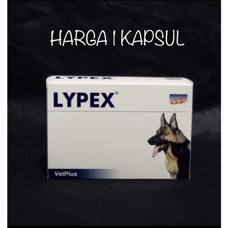 Jual LYPEX DOG - LYPEX CAT (OBAT DIARE KUCING DAN ANJING) | Shopee ...