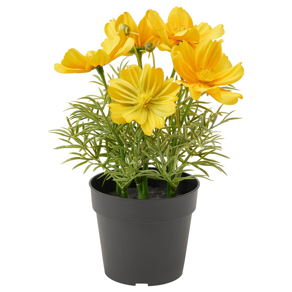 Jual Tanaman tiruan dalam pot, dalam/luar ruang/cosmos kuning, 9 cm ...