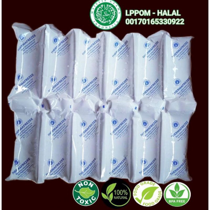 Jual ice gel ice pack thermafreeze 12 pcs lembaran dry ice | Shopee ...