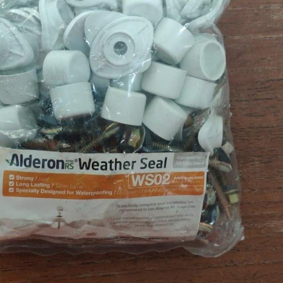 Jual Baut - Skrup Alderon RS ( Isi 50pcs) | Shopee Indonesia