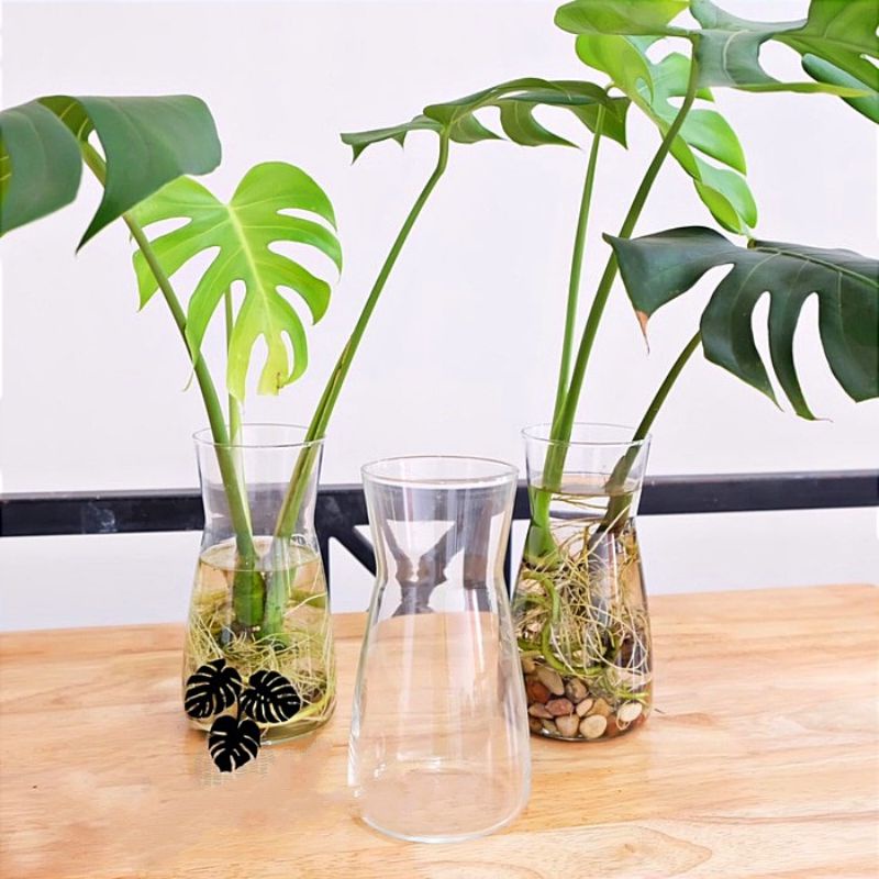 Jual Vas Bunga Kaca bening / Pot Kaca Tanaman Air Hidroponik / Vas ...