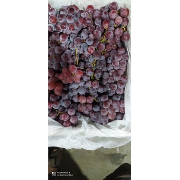 Jual Buah Anggur Merah Import 1kg | Shopee Indonesia