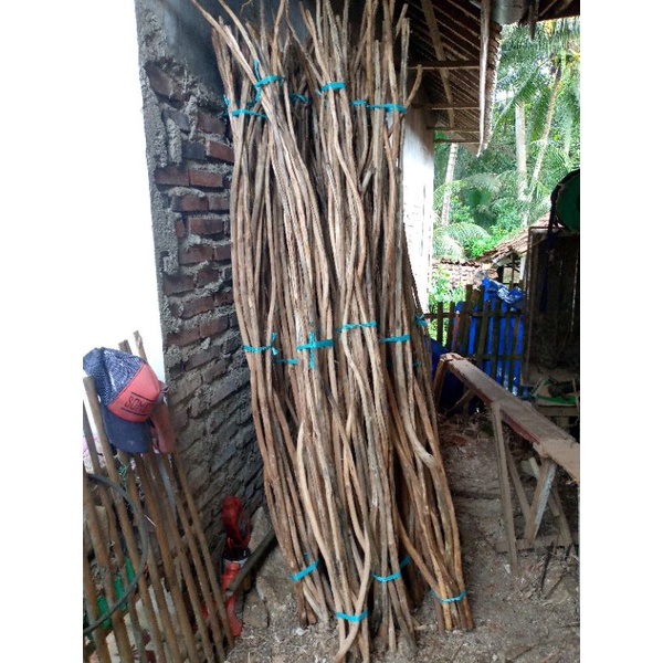 Jual Ranting kayu jati dekorasi 5 batang panjang 2 meter | Shopee Indonesia