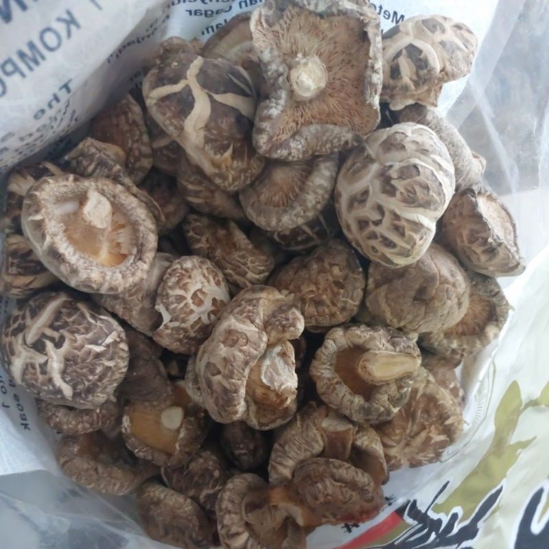 Jual JAMUR SHITAKE / HIOKO JAMUR / HIOKO KERING / JAMUR HIOKO | Shopee ...