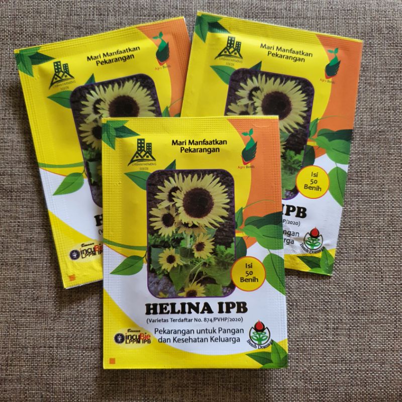 Jual Biji Bunga Matahari Helina IPB | Shopee Indonesia