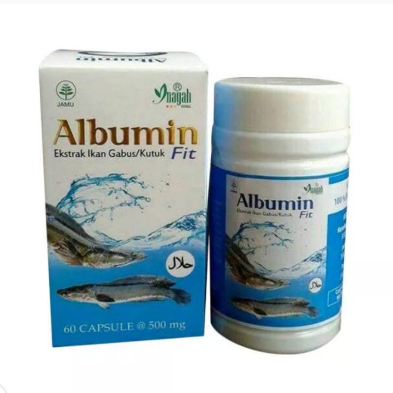 Jual Terlaris Termurah Albumin Extra ikan gabus atau ikan kutuk obat pasca operasi Caesar atau ...