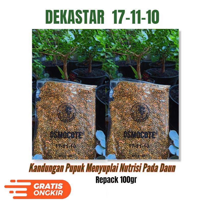 Jual Pupuk Dekastar 17-11-10 Buat Bonsai,Anggrek dll Repack (100gr ...