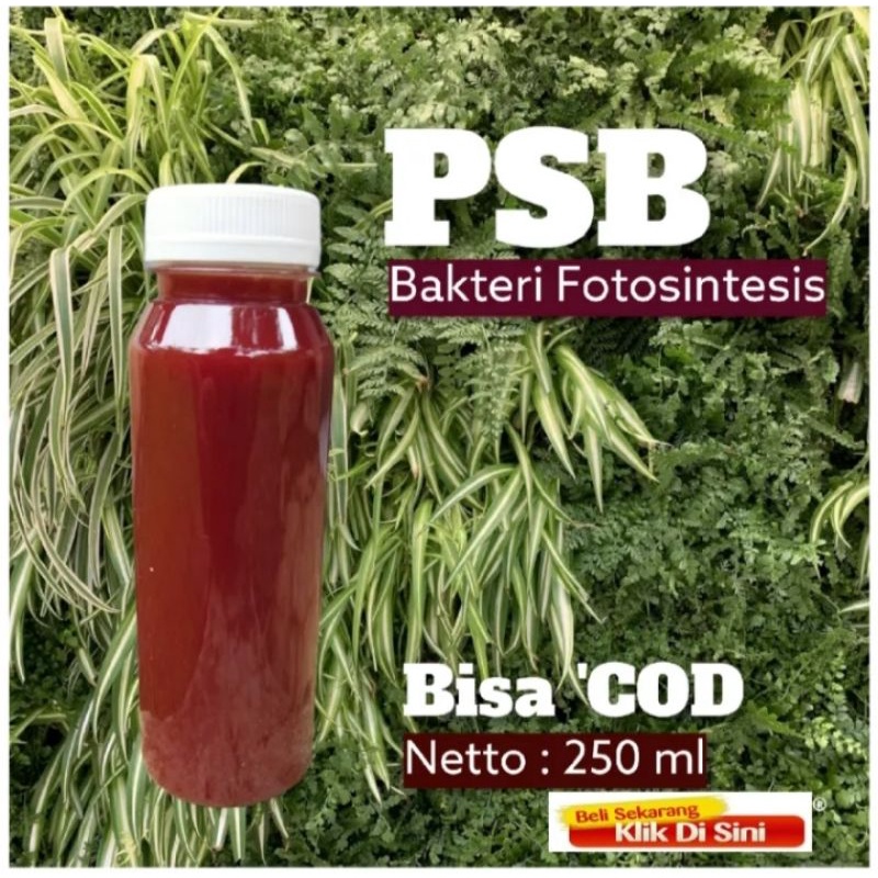 Jual pupuk cair psb bakteri fotosintesis | Shopee Indonesia