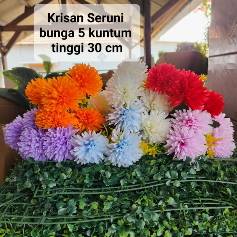 Jual Bunga Krisan Seruni / Bunga Pompom hias dekorasi ( Tanpa Pot ) | Shopee Indonesia