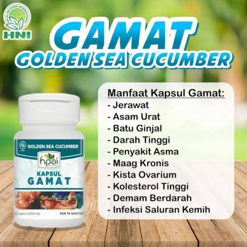 Jual Gamat emas HNi / atasi nyeri sendi, wajah berjerawat, darah tinggi ...