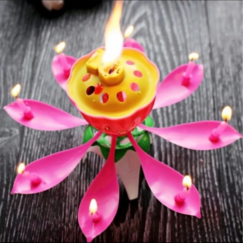 Jual Lilin Bunga Musikal, Lilin Putar Musik, Lilin Magic Mekar Bunga ...