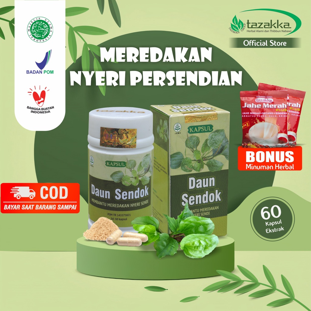 Jual Kapsul Daun Sendok Kering Antiradang Obat Nyeri Sendi dan Tulang ...
