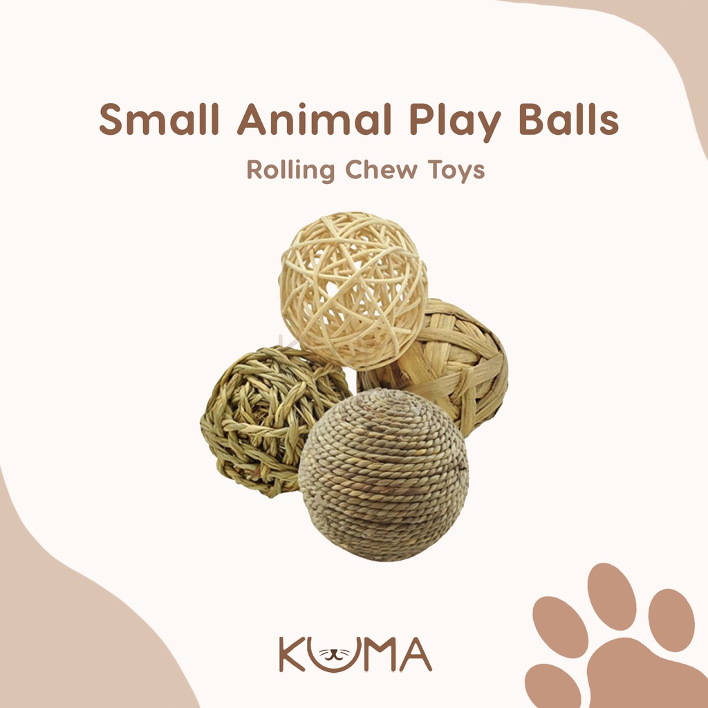 Jual [KUMA] Mainan Gigitan Bola Kelinci Hamster Marmut Asah Gigi Chew ...