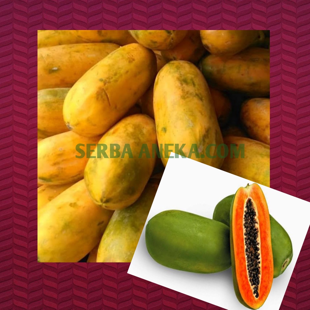 Jual Pepaya California Pepaya Manis ( Per Biji kurang lebih 1.5-2 kg ...