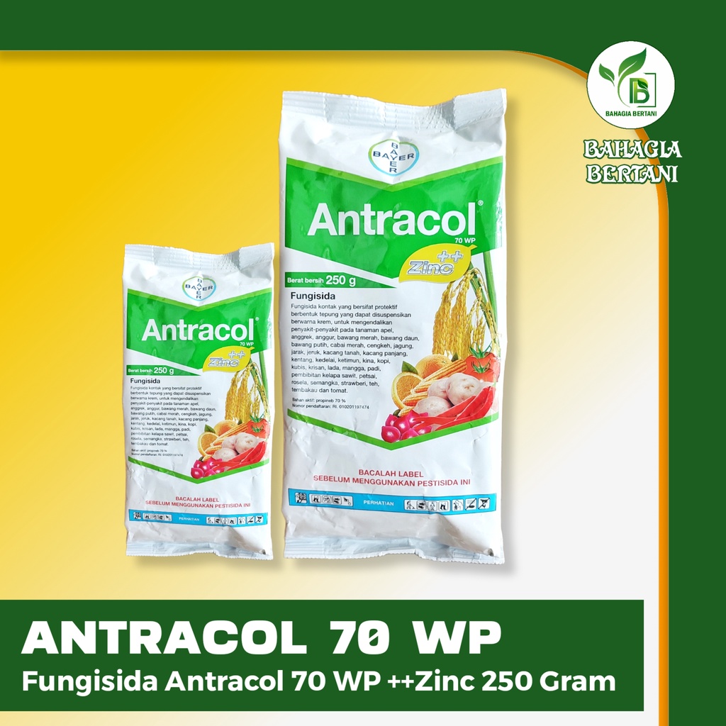 Jual ANTRACOL 70 WP | Fungisida Antracol 70 WP ++Zinc 250 Gram | Shopee ...
