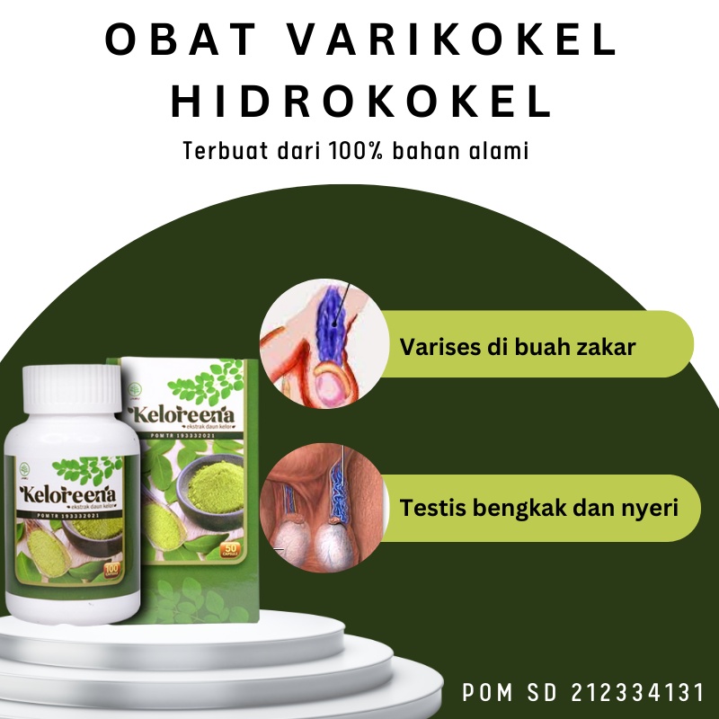 Jual Obat Varikokel Hidrokokel, Obat Varikokel, Obat Sakit Buah Zakar ...