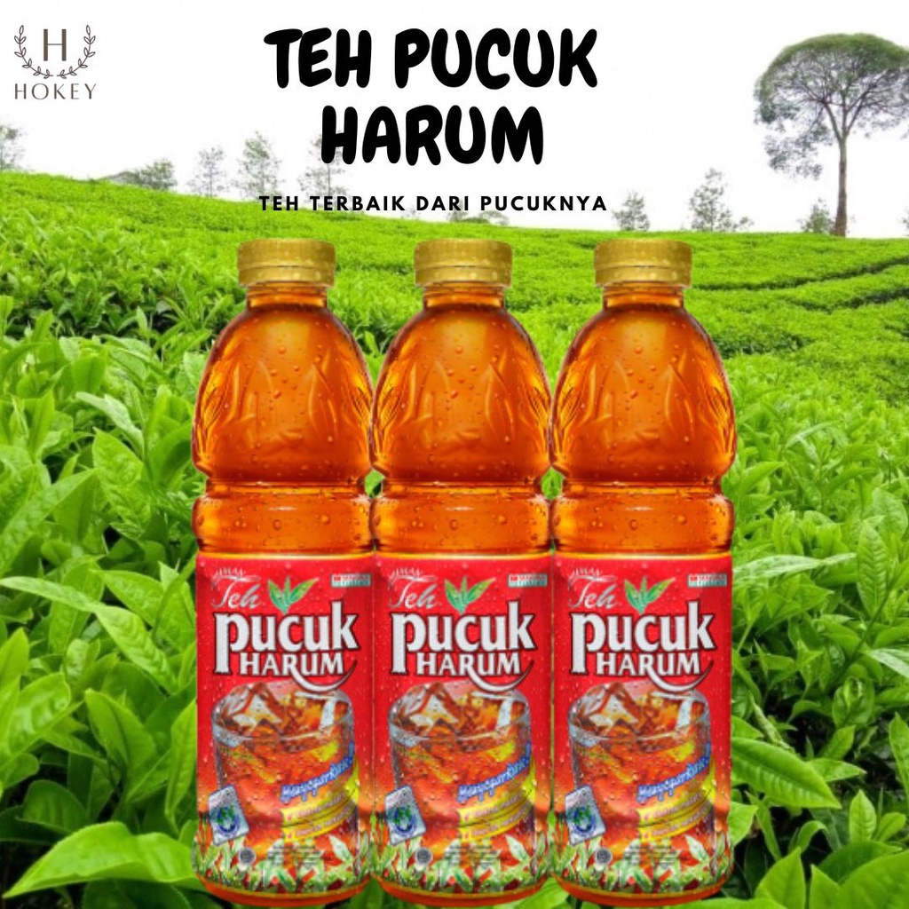 Jual Minuman Teh Pucuk Harum 350ml | Shopee Indonesia