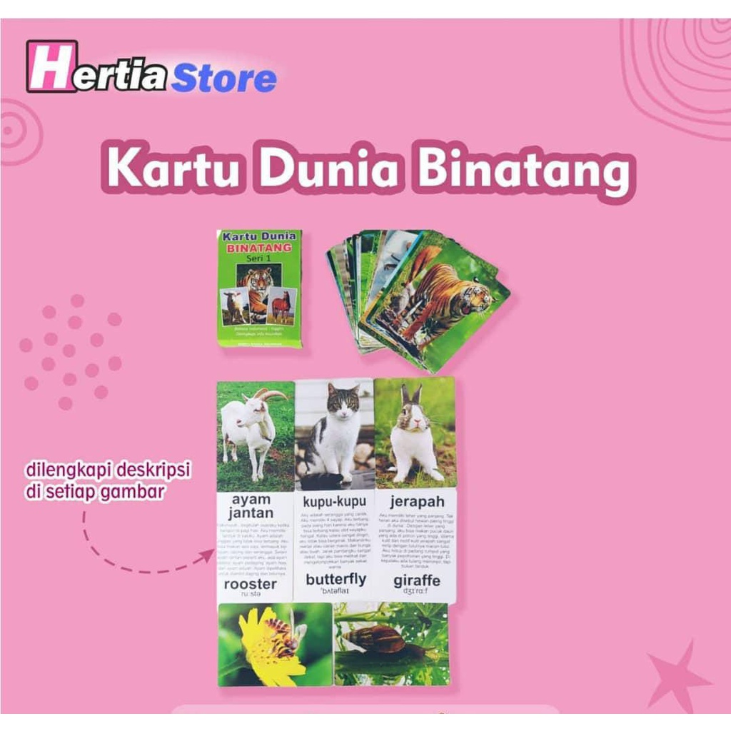 Jual [hertiastore] Kartu Dunia Binatang Seri 1, Flashcard Hewan ...