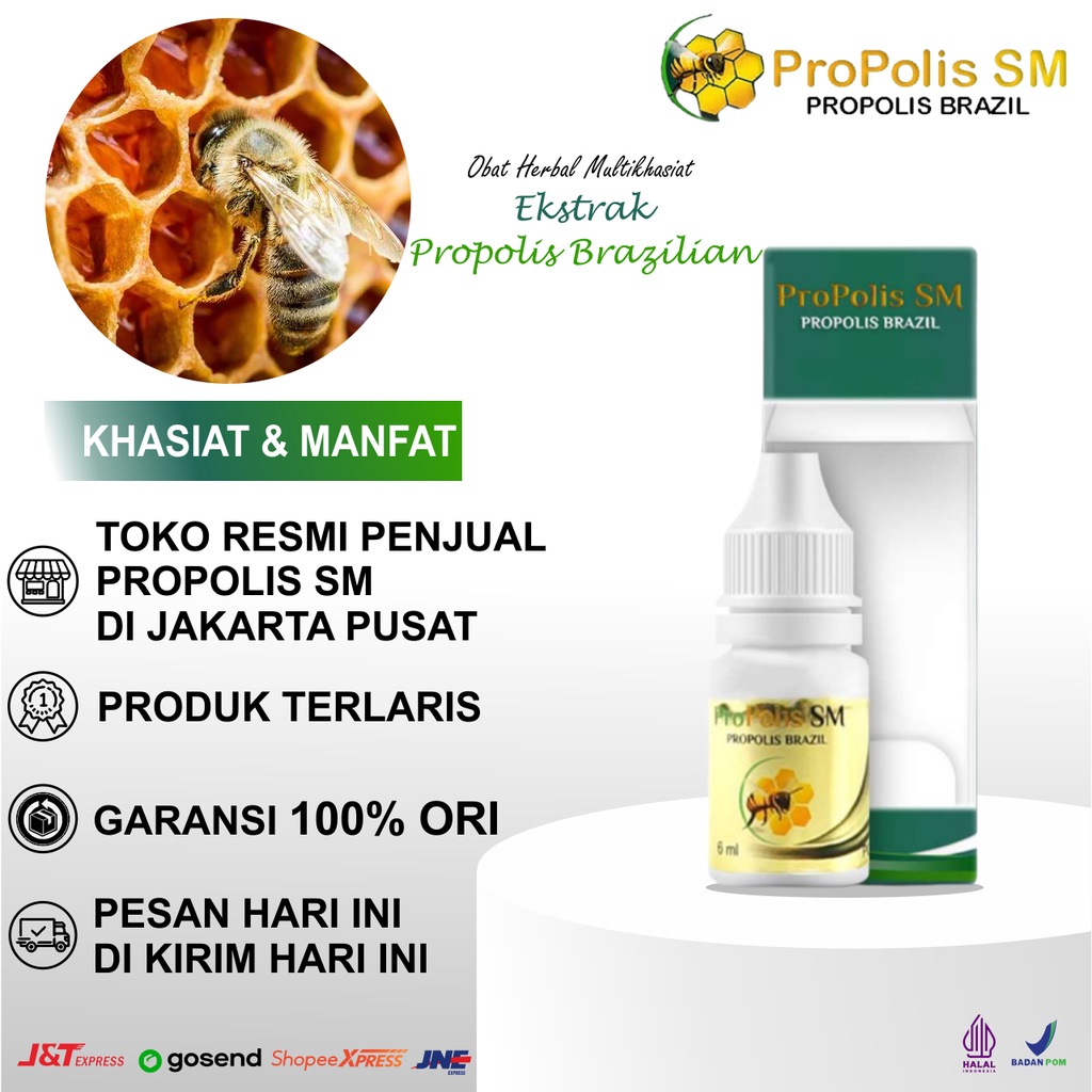 Jual Propolis SM Propolis Brazilian Obat Tetes Multikhasiat 100% Asli ...