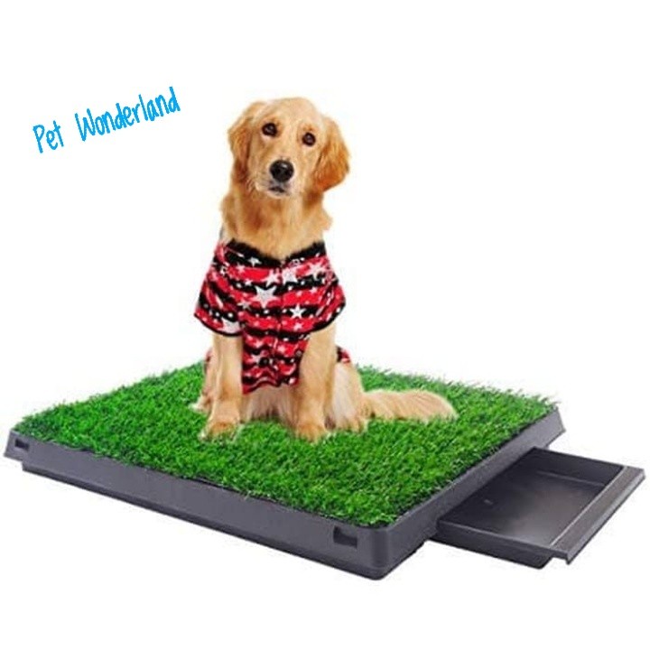 Jual Pet Toilet - Potty Tray With Grass Alas Pipis Anjing Dengan Rumput ...