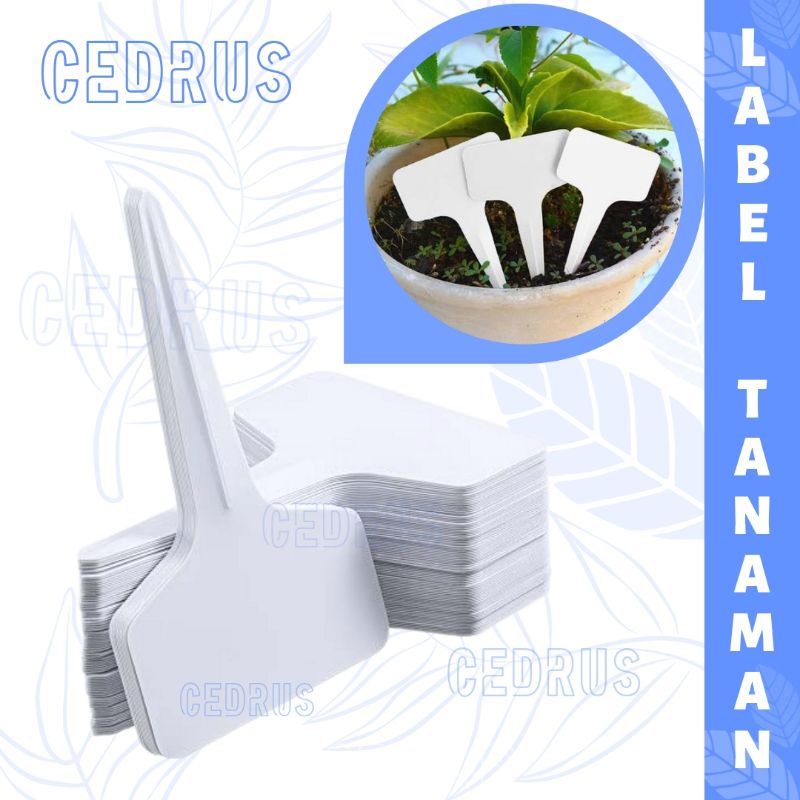 Jual LABEL TANAMAN (isi-9) - Name Tag Alat Berkebun | Shopee Indonesia