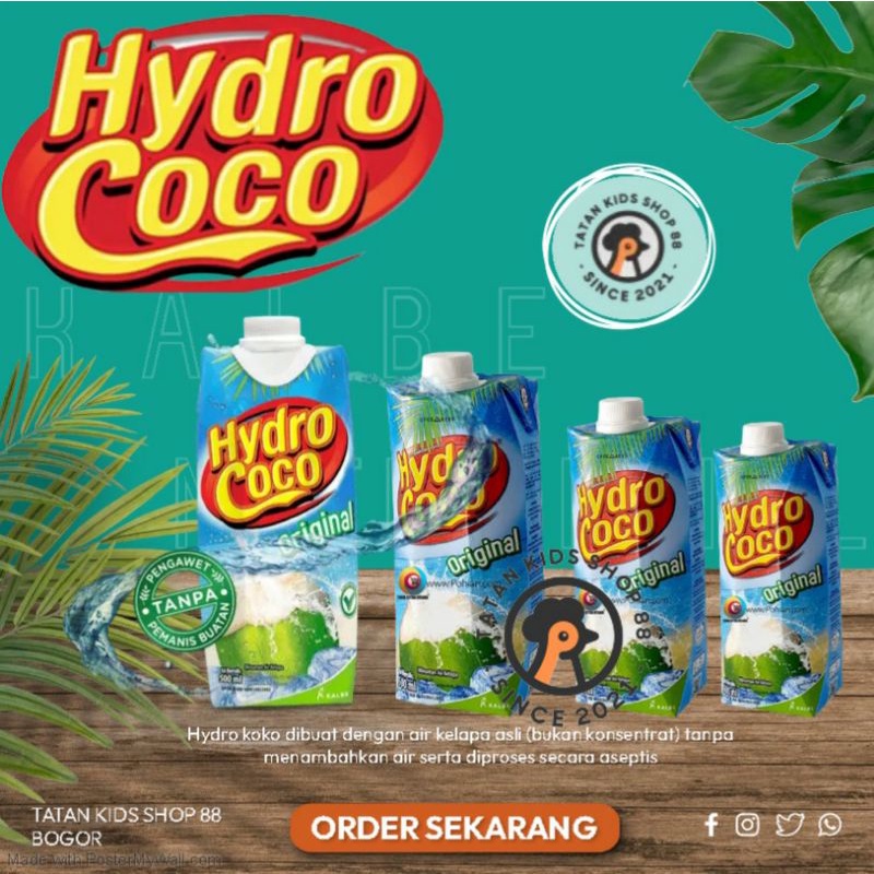 Jual Hydro Coco 500 ml Minuman Air Kelapa Asli | Shopee Indonesia